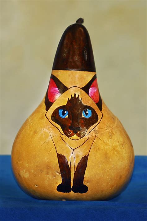 Cat Gourd Cat Gourd Gourd Art Gourds