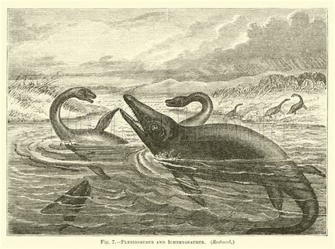 Plesiosaurus And Ichthyosaurus Stock Image Look And Learn