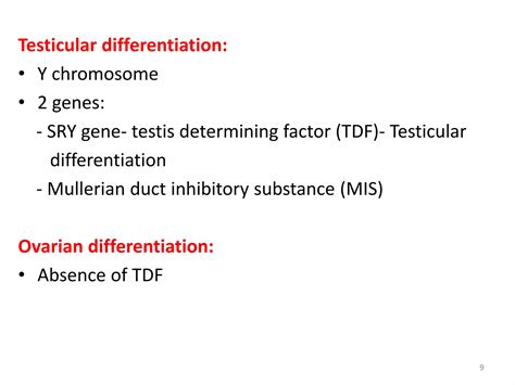 Sexual Growth Development Pptx