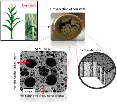 Biomimetics Special Issue Bio Inspired Design And Optimisation Of Engineering Systems