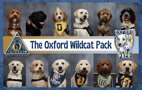 Oxford Wildcat Pack Owp
