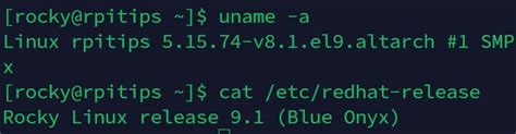 Installing Rocky Linux On Raspberry Pi Centos Alternative Raspberrytips