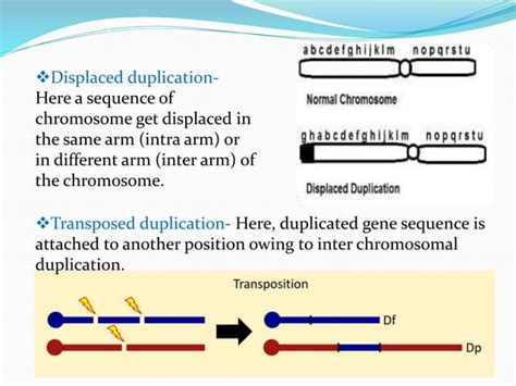 Structural Chromosomal Aberration Pptx