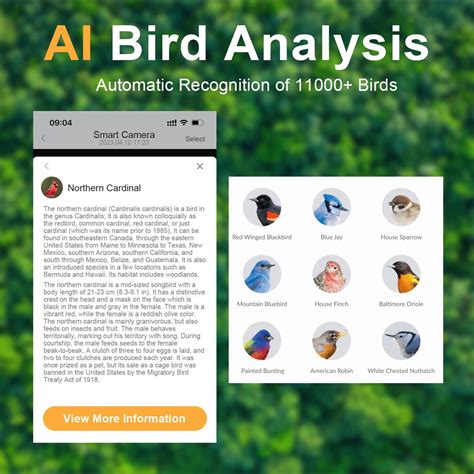 Intelligent Bird Feeder Camera Ai Automatic Bird Recognition 1080p