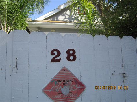 Pictures Of Saladin Nader