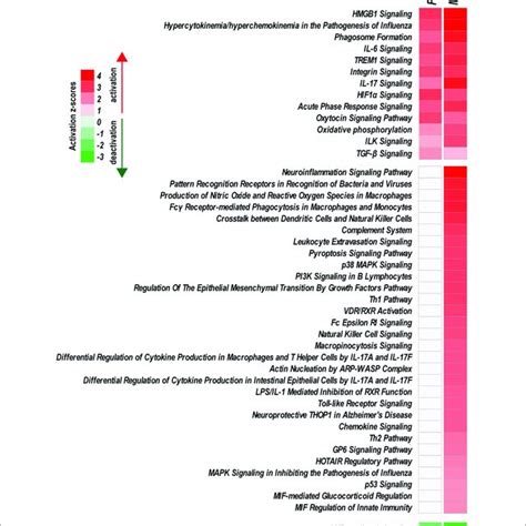 Ingenuity Pathway Analysis Highlights Sex Specific Versus Monomorphic