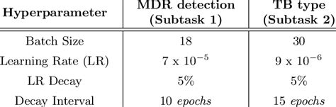 hyperparameters used in the neural networks for the submitted runs