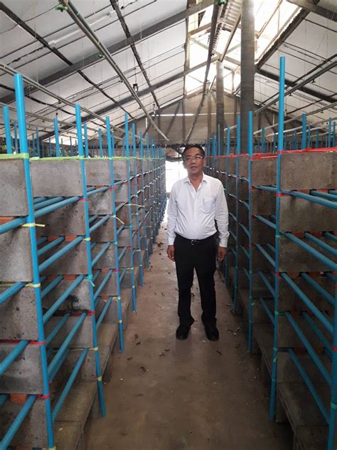 ดูงานฟร์ามหนองกระทุ่ม ของ คุณชัยเดช โต้ง ได้พัฒนารูปแบบของ โรงเรือนเพาะเห็ดเป็นระบบปิดทั้งหมด