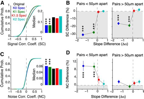 Bidirectional Modulation Of Interneuronal Correlations A Cumulative Download Scientific