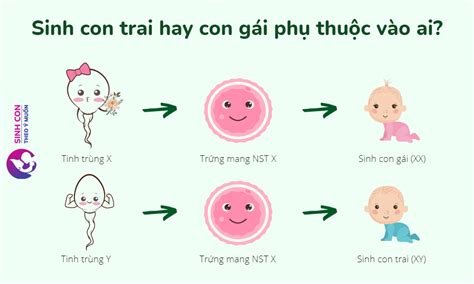 Việc sinh con trai hay gái do đàn ông quyết định hết hãy thôi nói phụ nữ