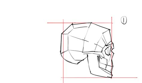 Planar Skull Animation Album On Imgur