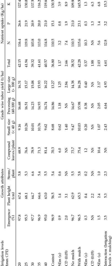 Effect Of Mulching And Irrigation Schedules On Growth And Yield
