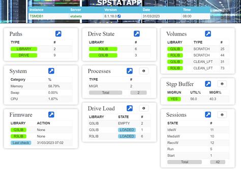 ibm spectrum protect summary table description of fields ibm