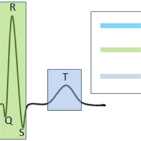 Proposed Ecg Biometric System Using Different Transformation And Download Scientific Diagram