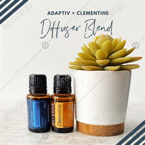 Adaptiv Clementine Diffuser Blend Graphics By Nikkimatthews