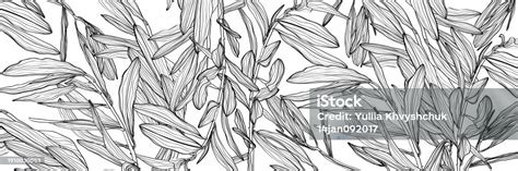 꽃과 식물 라인 아트 배경입니다 여름 톤 와 열대 잎 와 잎 와 올리브 가지 가지 벡터 배너 인쇄물 포스터 벽 예술에 대 한