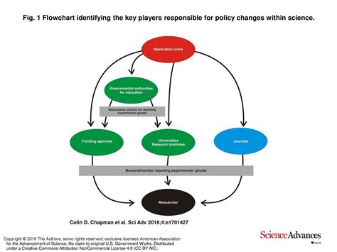 Experimenter Gender And Replicability In Science Ppt Download