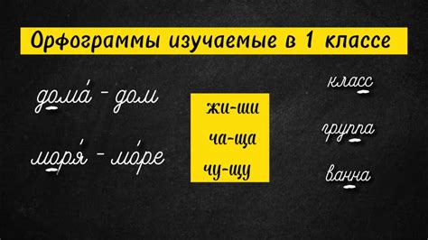 ВСЕ ОРФОГРАММЫ ИЗУЧАЕМЫЕ В 1 КЛАССЕ 1 КЛАСС РУССКИЙ ЯЗЫК Начальная школа орфограммы Youtube