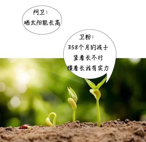 跟着大人晚睡，会影响孩子身高吗？ 澎湃号·政务 澎湃新闻 The Paper