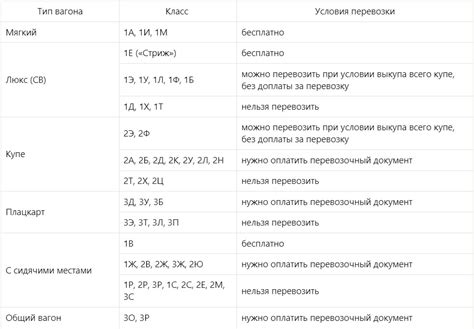 Как перевозить собаку в поезде можно ли как провести по России