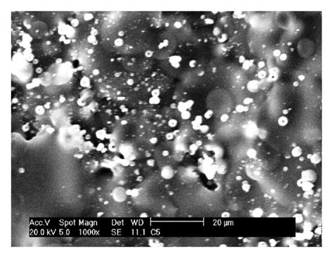 Sem Micrographs Showing The Effect Of Individual And Binary Solvent Download Scientific Diagram