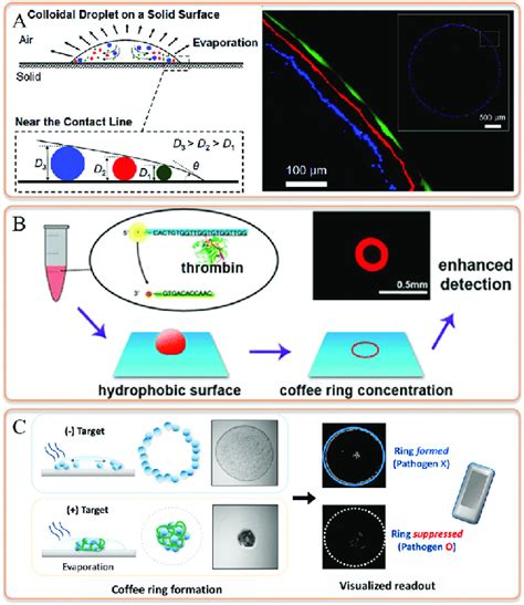 A The Particle Separation Based On The Particle Size Selection Download Scientific Diagram