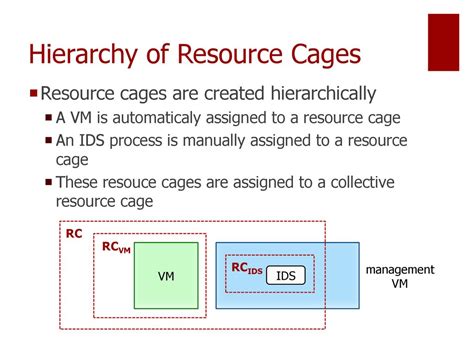 resource cages a new abstraction of the hypervisor for performance isolation considering ids