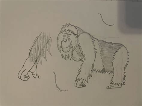 Gigantopithecus By Thatsvenne On Newgrounds