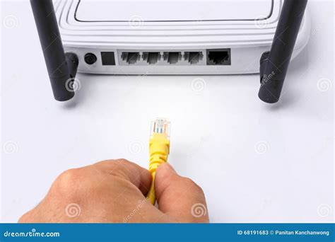 LAN Network Switch With Ethernet Cables Plugging In On White Stock Image Image Of Device