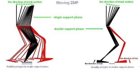 The Simulation Of The Biped Robot When Zmp Moves Download Scientific Diagram
