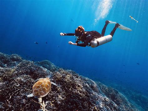 Diving Semporna Top Sites Marine Life And What To Expect