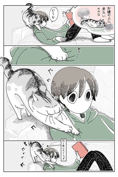 キュルz 428 3巻発売 On Twitter かわいい動物の赤ちゃん キュートな猫 可愛すぎる動物