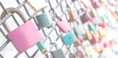 What To Check Before Installing A WordPress Plugin Lyrical Host