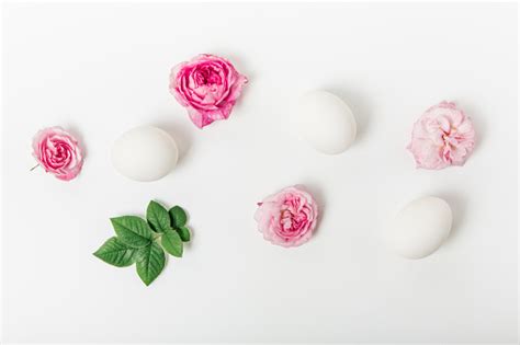 달걀과 분홍색 꽃의 부활절 구성 흰색 배경에 플랫 누워 있습니다 부활절과 휴일 개념 미니멀한 스타일 4월에 대한 스톡 사진 및 기타 이미지 Istock