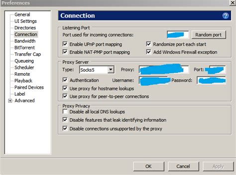Proxy What Information Leaks Through Local Dns Lookups When