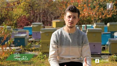 ფერმა 28 წლის თეოლოგის მეფუტკრეობა სოფელ ქვახვრელში Youtube