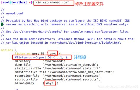配置dns实验（全） Csdn博客