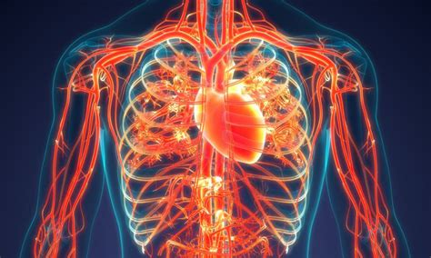 Circulation Problems In Extremities At Joanna Swanner Blog