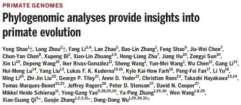 《科学》8篇论文齐发！科学家揭示从灵长类到人的演化历程 知乎