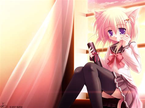Neko Girl Dakaroth Wallpaper 31893682 Fanpop