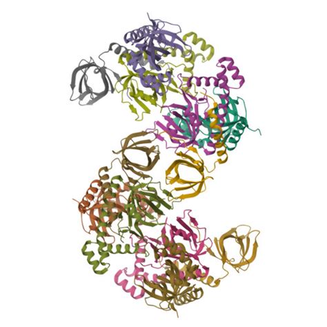 Rcsb Pdb 8c5y Rpa Tetrameric Supercomplex From Pyrococcus Abyssi