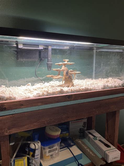 Is This Enough Substrate R Aquariums