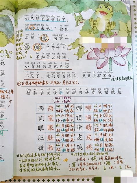 小蝌蚪找妈妈课文原文 二年级语文上册小蝌蚪找妈妈 说明书网