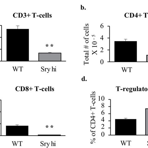 T Cell Numbers In The Popliteal Lymph Node Of 6 Week Old Wildtype Mice
