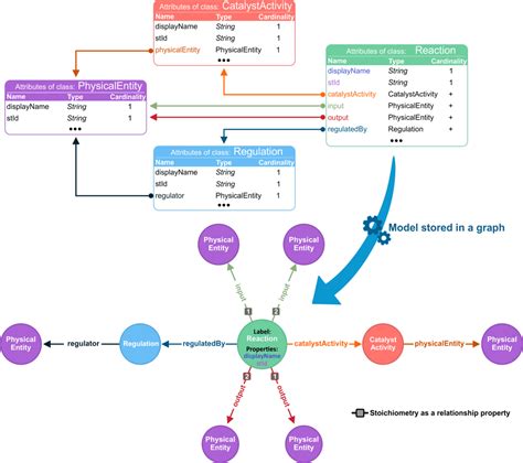 Knowledge Graphs Vs Relational Databases Everything You Need To Know