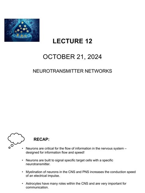 Lecture 12 Neurotransmitter Networks Slides Pdf Dopamine Phenylalanine