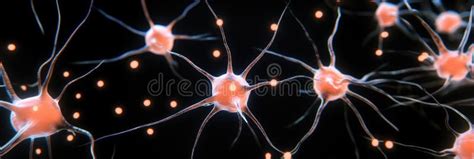 Neural Connections In The Brain Highresolution Visualization Of