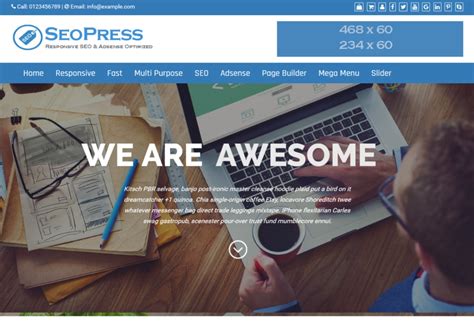 Seo шаблоны Wordpress лучшие бесплатные и платные темы