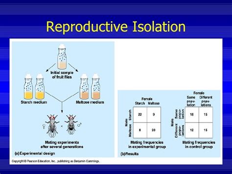 Reproductive Isolation Examples