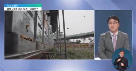 꿀벌 78억 마리 증발…생태계 영향은